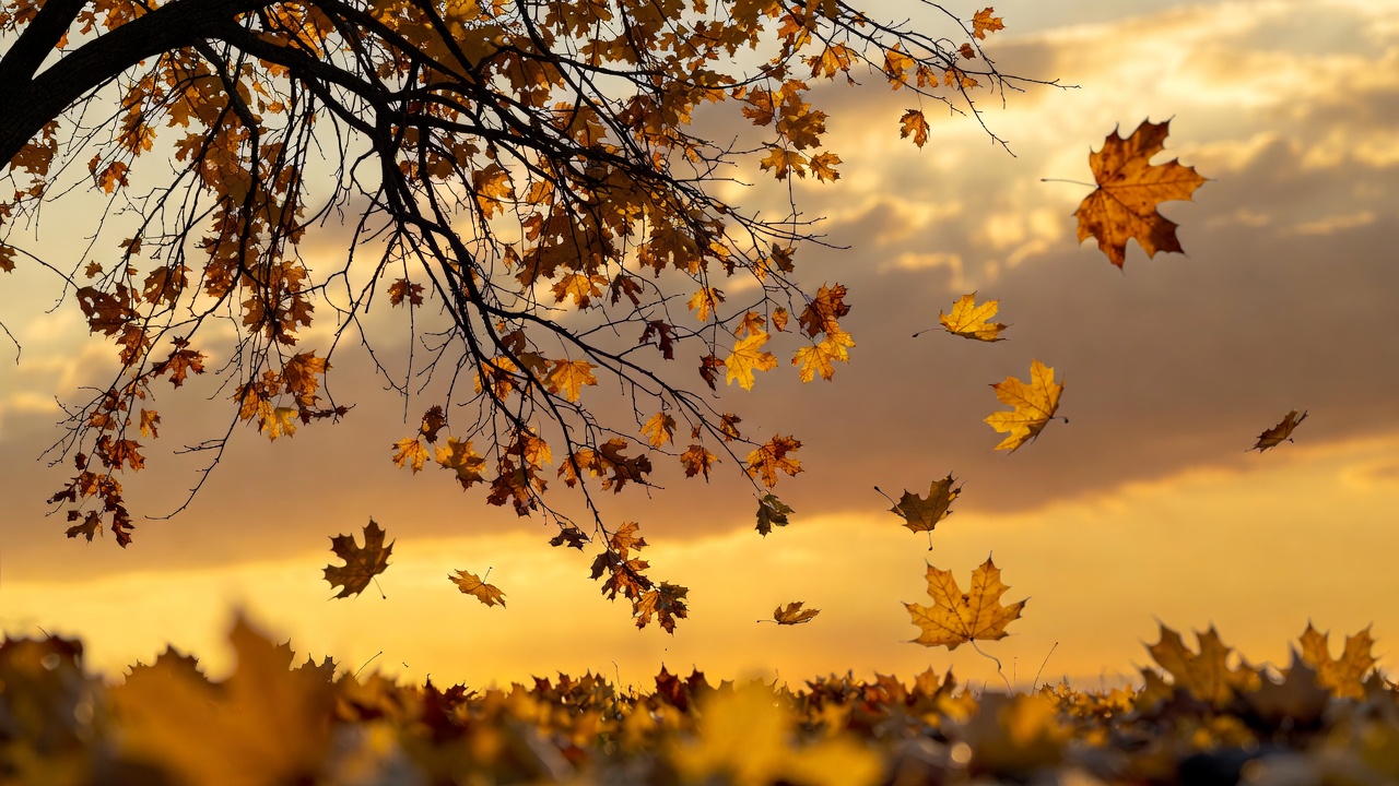 Miss Me But Let Me Go Poem: Shakespeare Insights on Grief