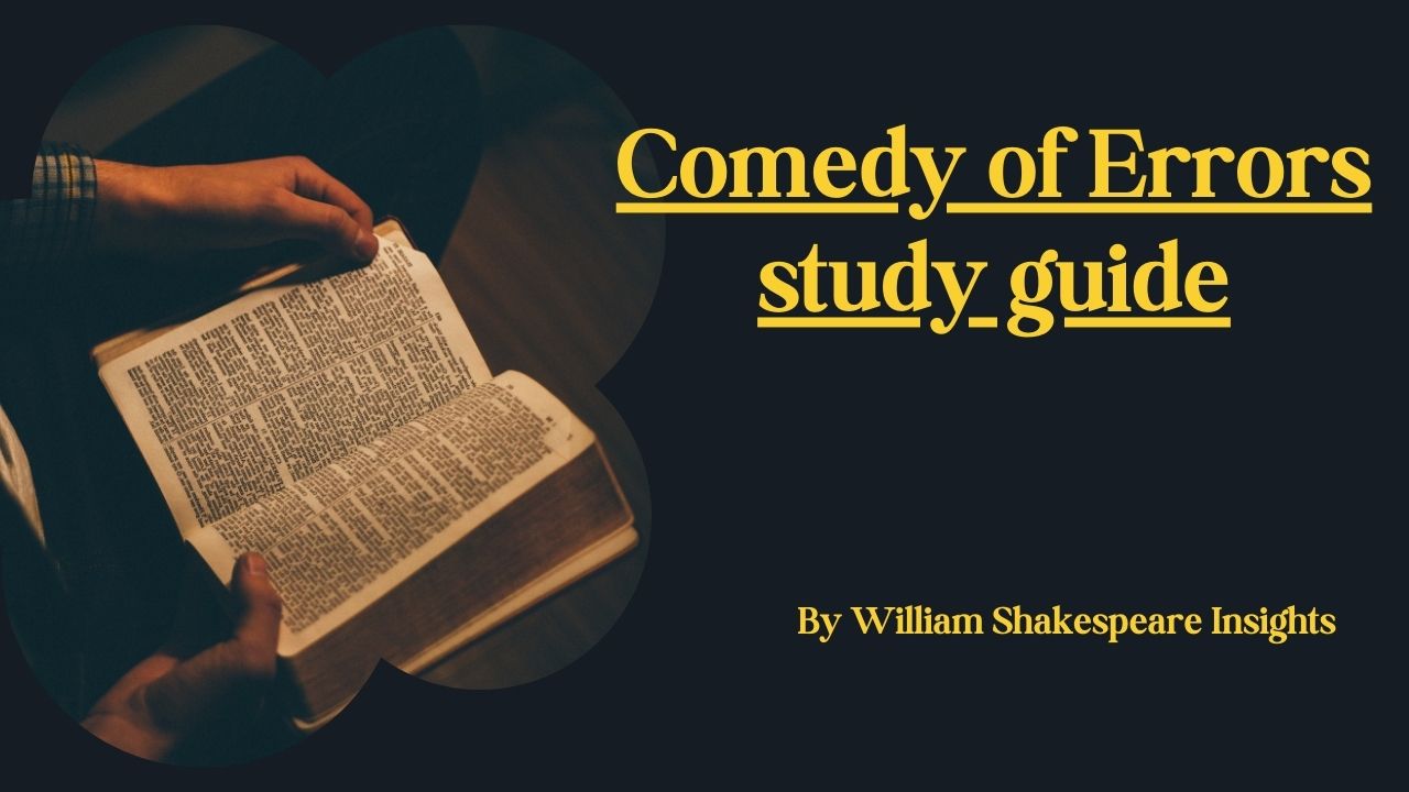 Comedy of Errors Study Guide: Summary, Themes & Analysis