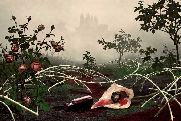 Symbols in Hamlet: Meanings & Analysis